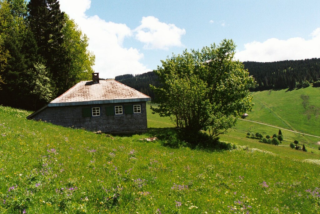 Martin Heidegger Die Hütte (cottage) in Todtnauberg Daniel Fidel Ferrer